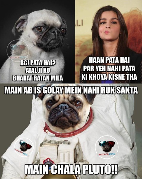 15 BC Kutta vs Alia Bhatt Memes/Trolls Which Will Make You Go ROFL 😀 ...