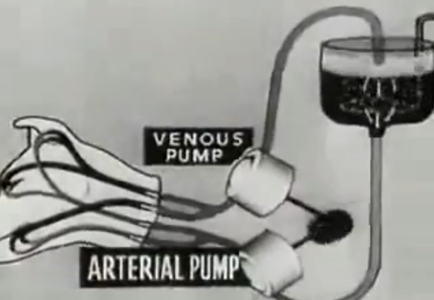 Top 10 Creepiest Science Experiments That You Would Have Probably ...