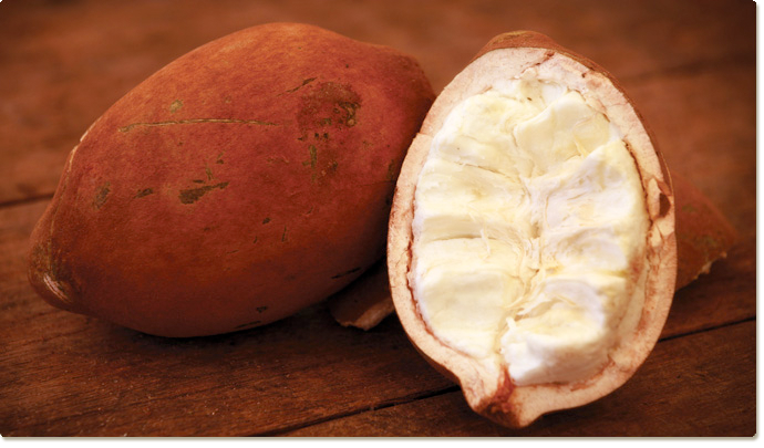 10 Wacky And Unusual Fruits In The World Which You Never Heard Before ...