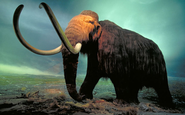 10 Extinct Animals That May Still Be Alive - RVCJ Media