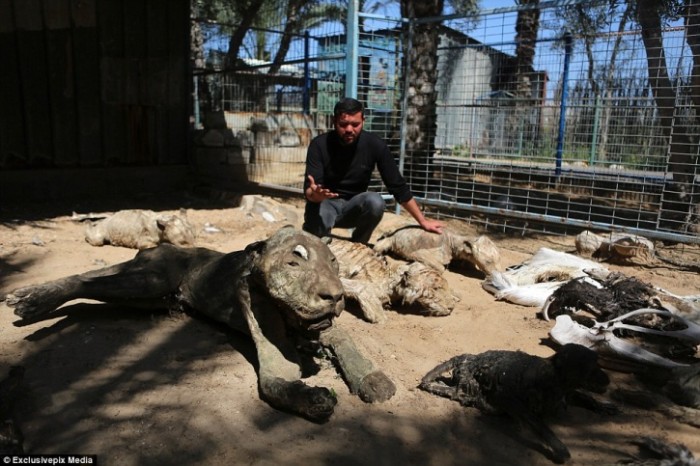 17 Pics Of World’s WORST ZOOS Where Animals Are Starved To Death ...