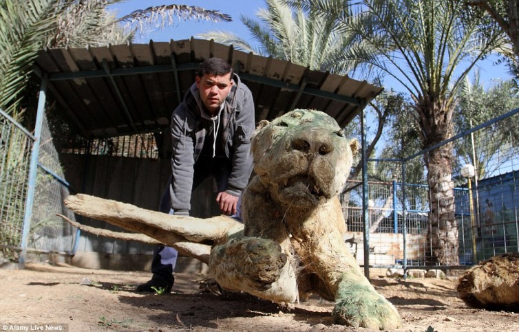 17 Pics Of World’s WORST ZOOS Where Animals Are Starved To Death ...