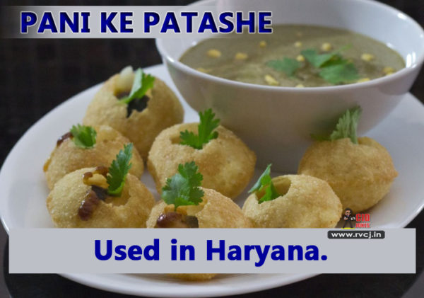 11 Different Names Of Pani Puri That Every Girl Should Know - RVCJ Media