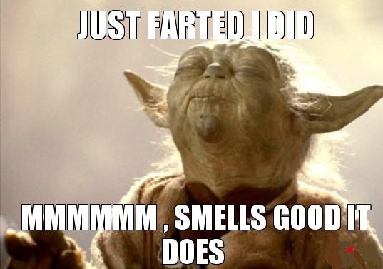 i farted - RVCJ Media