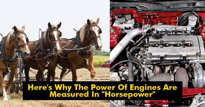 Here's Why The Power Of Engines Are Measured In "Horsepower" - RVCJ Media