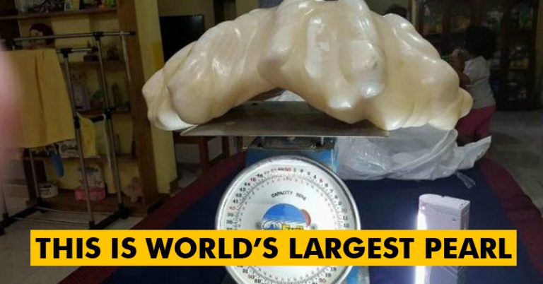 Fisherman Discovered The World's Biggest Pearl - Kept It Under His Bed ...