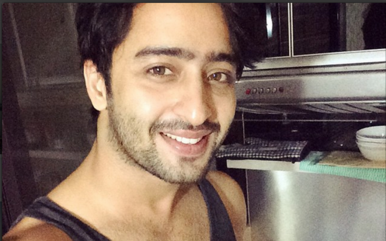 View Pics! Shaheer Sheikh AKA Dev Dixit's House Is Dreamy! You'll Crave ...