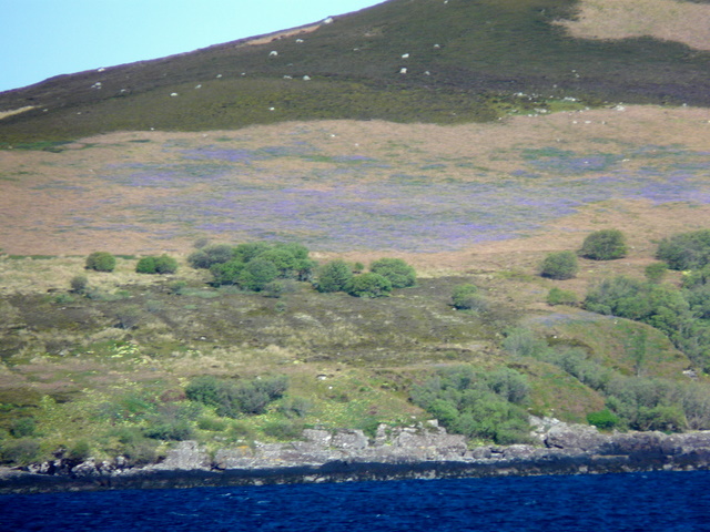 Nobody Wants To Set Foot On This Island Which Was Abandoned For 75 ...