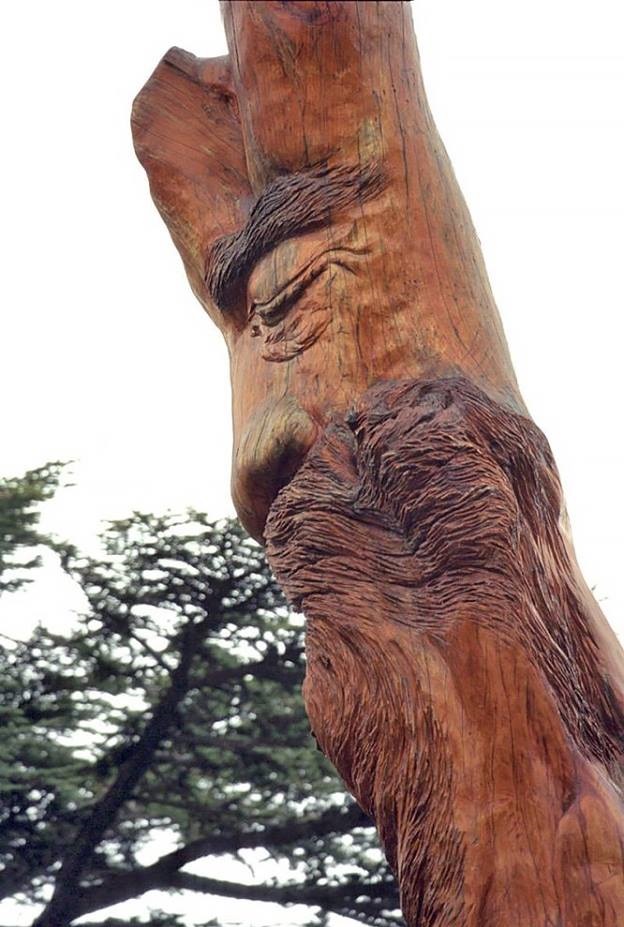 There Is Actually A 'Jesus Tree' In Lebanon, And Its History Is Amazing ...