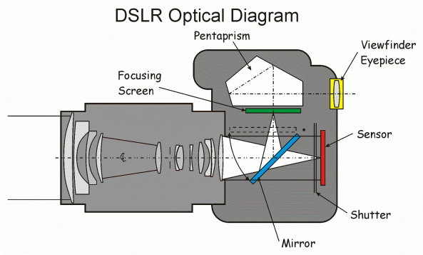 Why & How Does A Circular Camera Lens Produce A Rectangular Image? Your ...