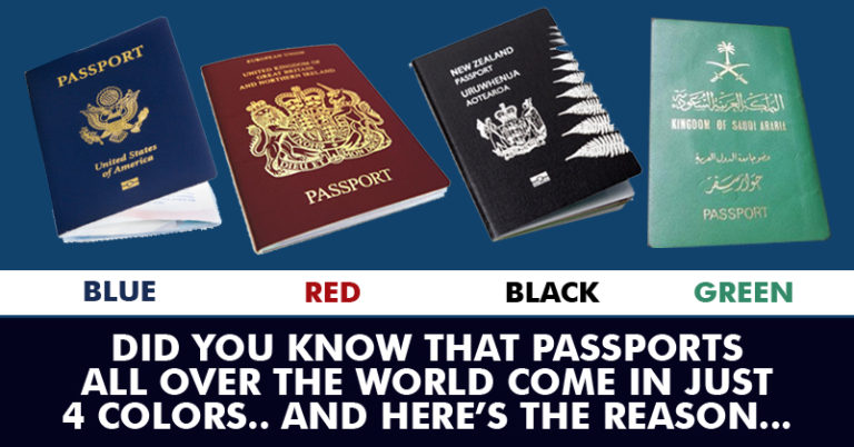 This Is Why Passports Of All The Countries In The World Are Of Only ...