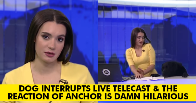 russia news anchor - RVCJ Media
