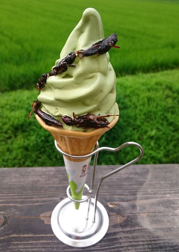 8 Insect Flavored Ice Creams Around The World That Not Everyone Can Eat ...