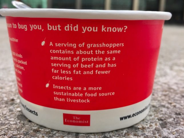 8 Insect Flavored Ice Creams Around The World That Not Everyone Can Eat ...