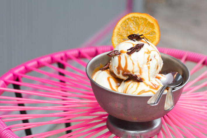 8 Insect Flavored Ice Creams Around The World That Not Everyone Can Eat ...