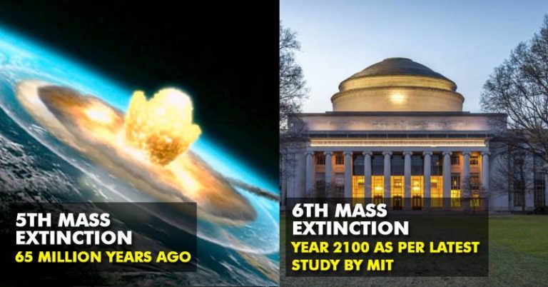 MIT Study Reveals Earth Heading Towards Its 6th Mass Extinction. It ...