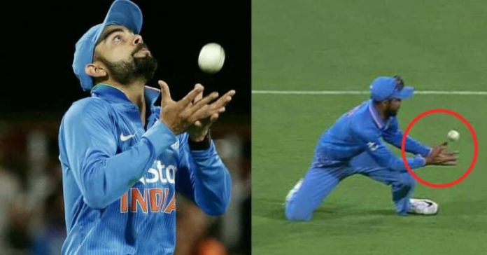 This Is Why A Cricketer Lowers His Hand While Catching A Cricket Ball ...