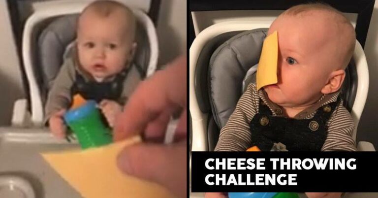 cheese challenge - RVCJ Media