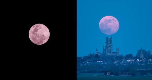 Pink Moon 2019 Takes Twitter By Storm, People Share Gorgeous Pics And ...