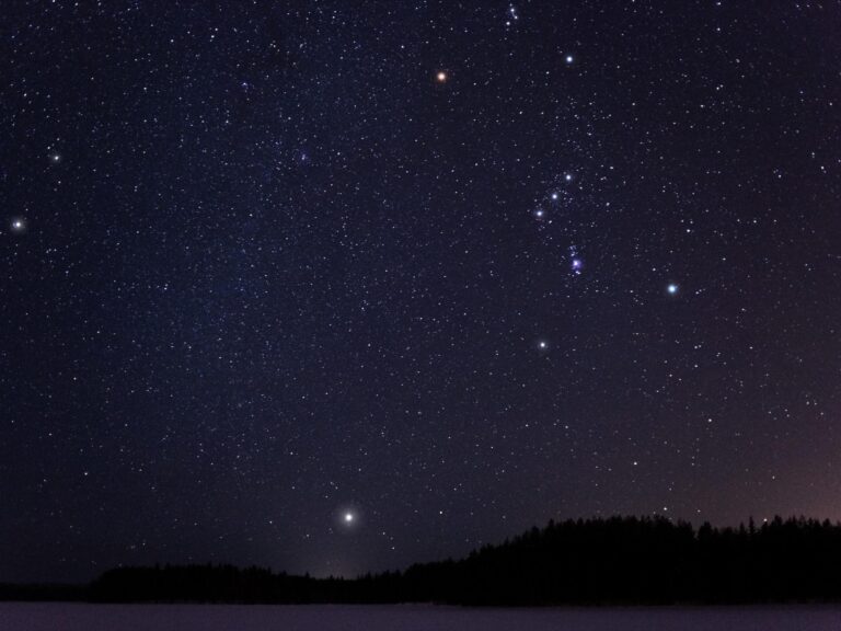 A List Of Similarities Between Humans And Stars - RVCJ Media