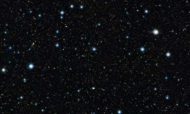 A List Of Similarities Between Humans And Stars - RVCJ Media
