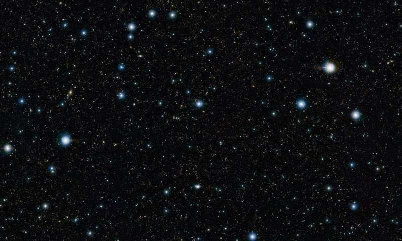 A List Of Similarities Between Humans And Stars - RVCJ Media