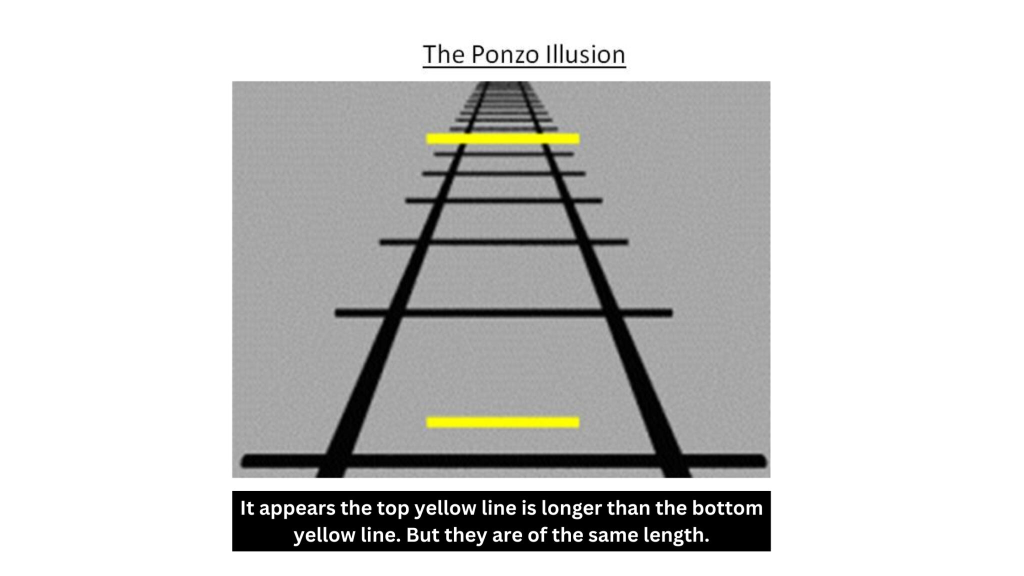 8 Mind-Blowing Optical Illusions Explained - RVCJ Media