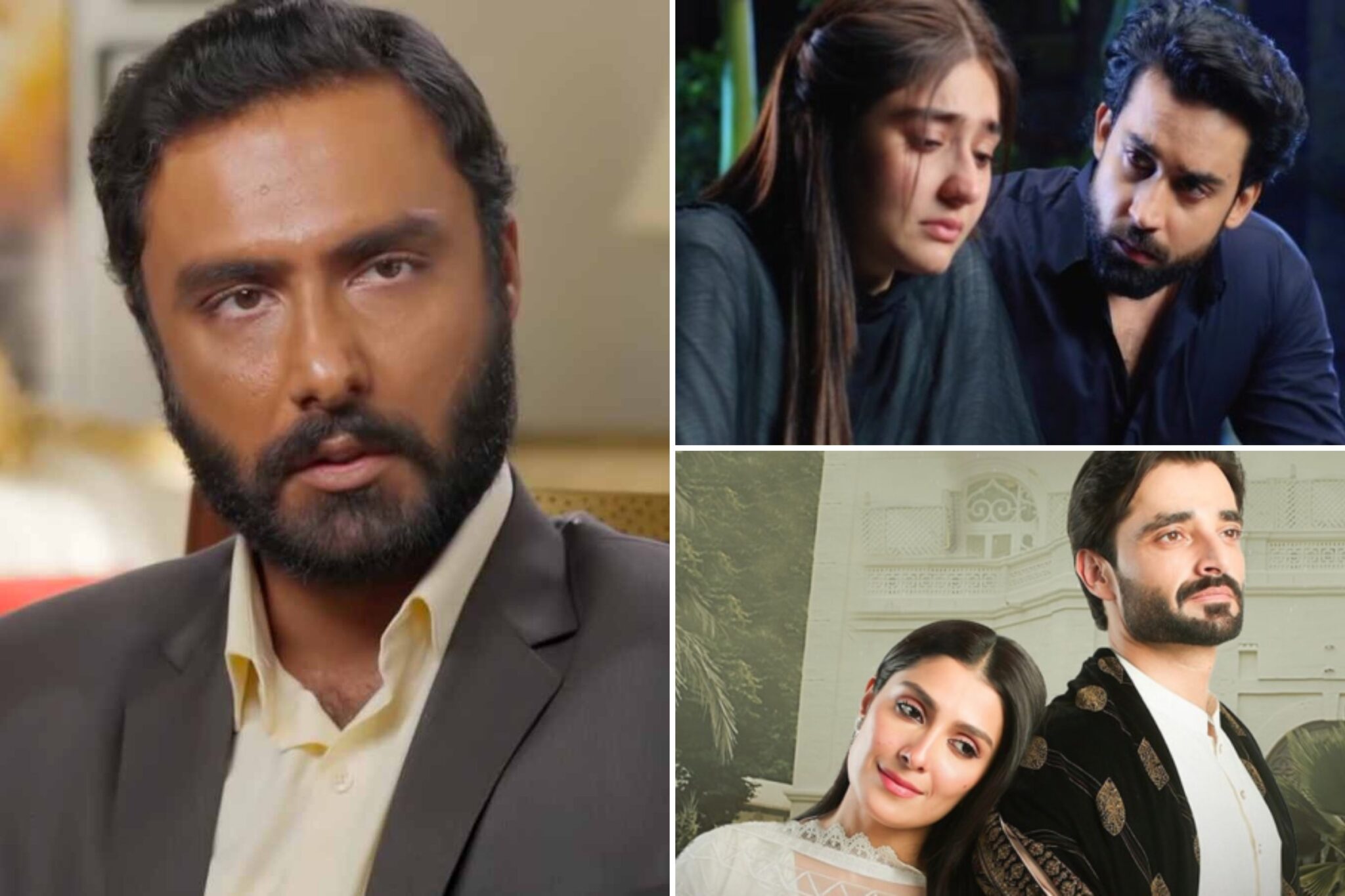 8 Best Pakistani Dramas to Watch in 2024 - RVCJ Media