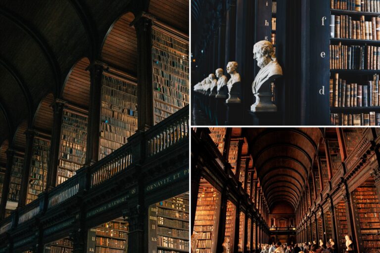 Inside 9 Most Beautiful Libraries In The World - RVCJ Media