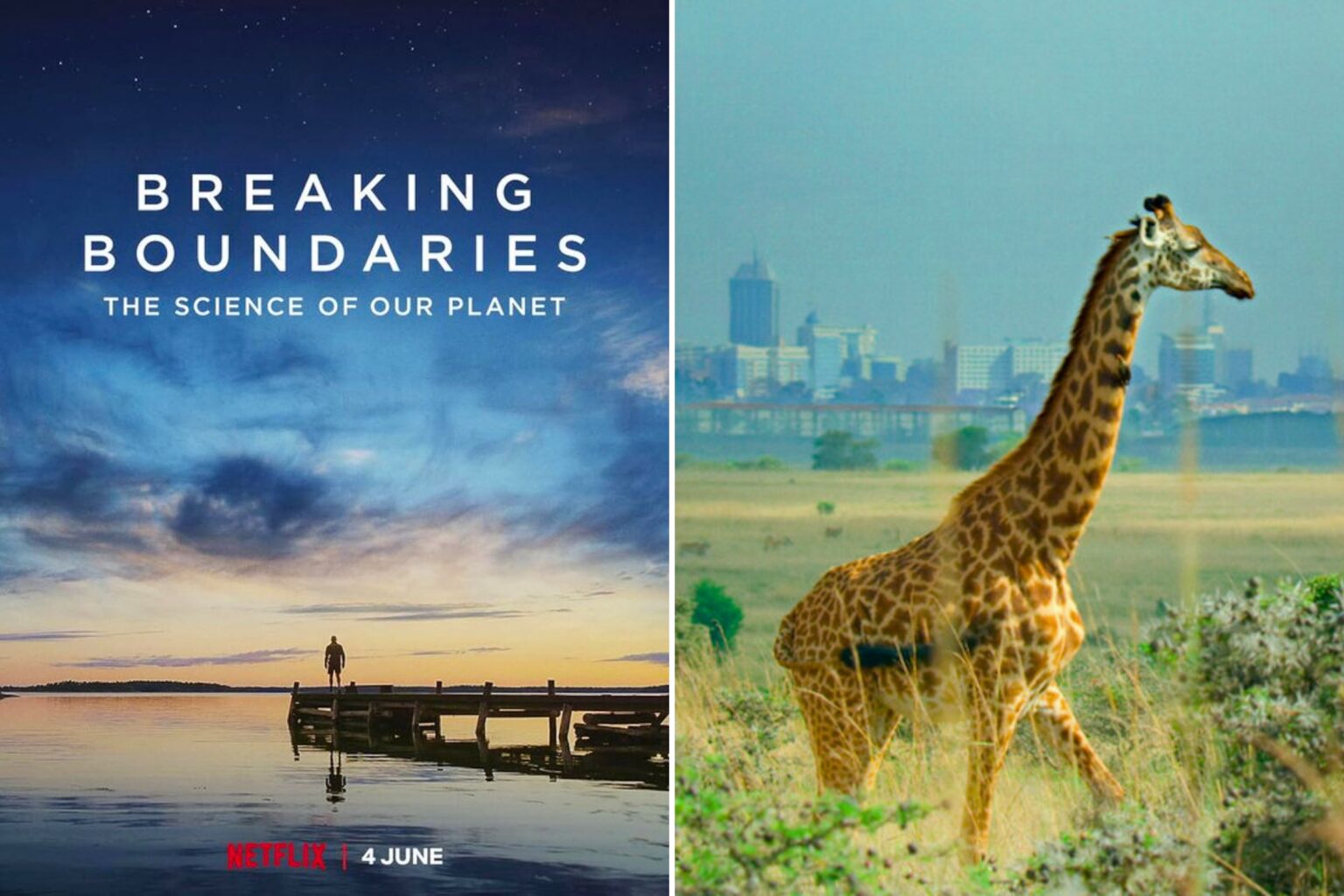 The 9 Best David Attenborough Documentaries | Our Planet, Wild Isles ... The 9 Best David Attenborough Documentaries | Our Planet, Wild Isles ...