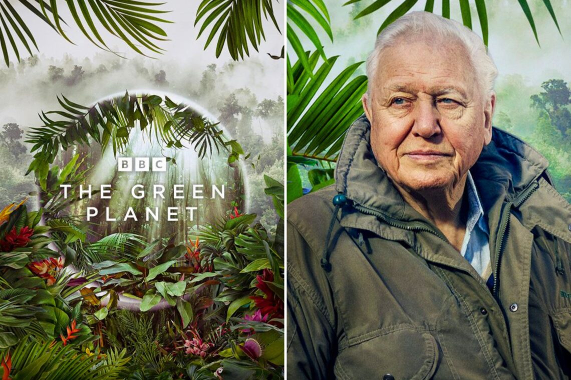 The 9 Best David Attenborough Documentaries | Our Planet, Wild Isles ...