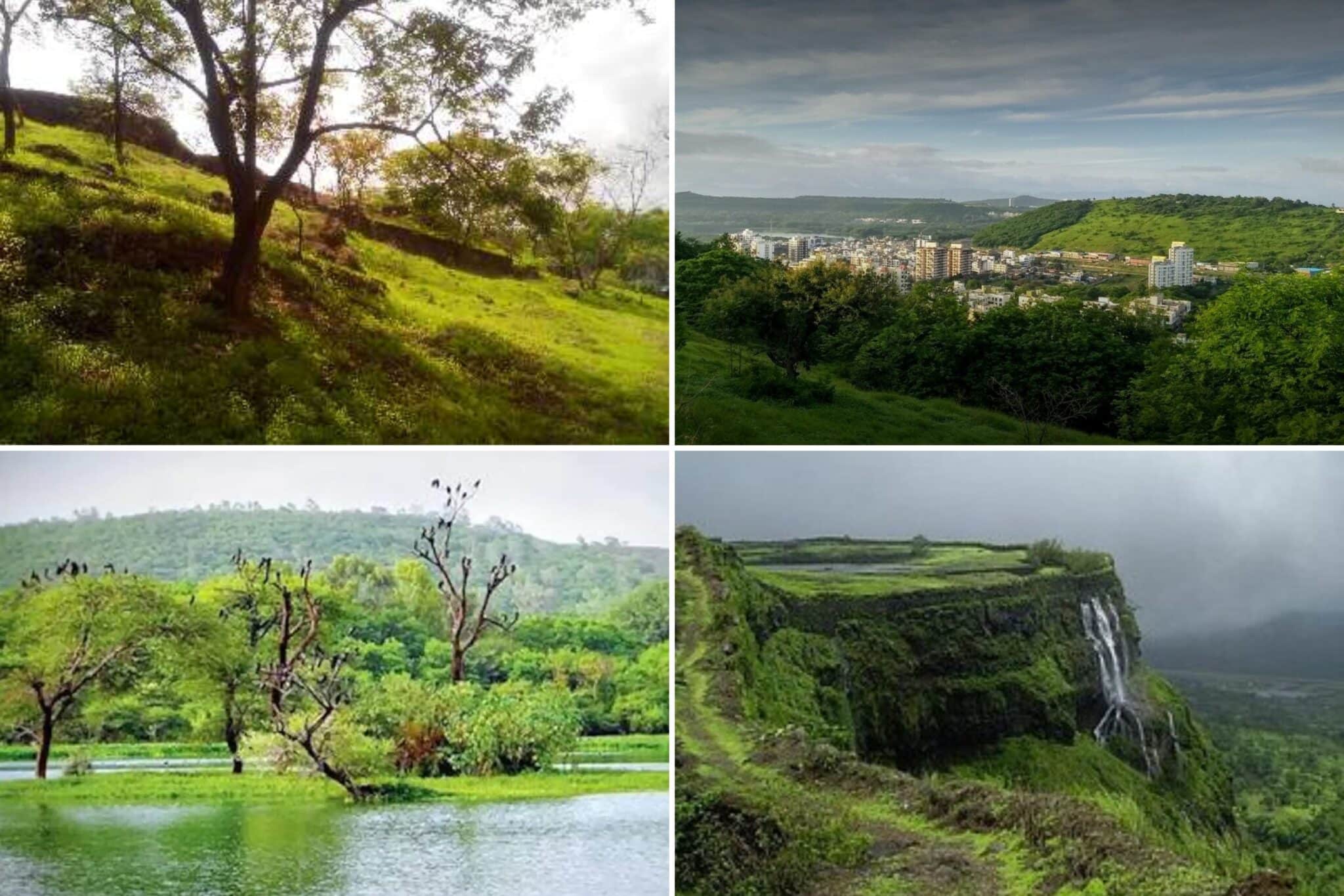The 10 Best Gardens In Pune | Timing & Entry-fee - RVCJ Media