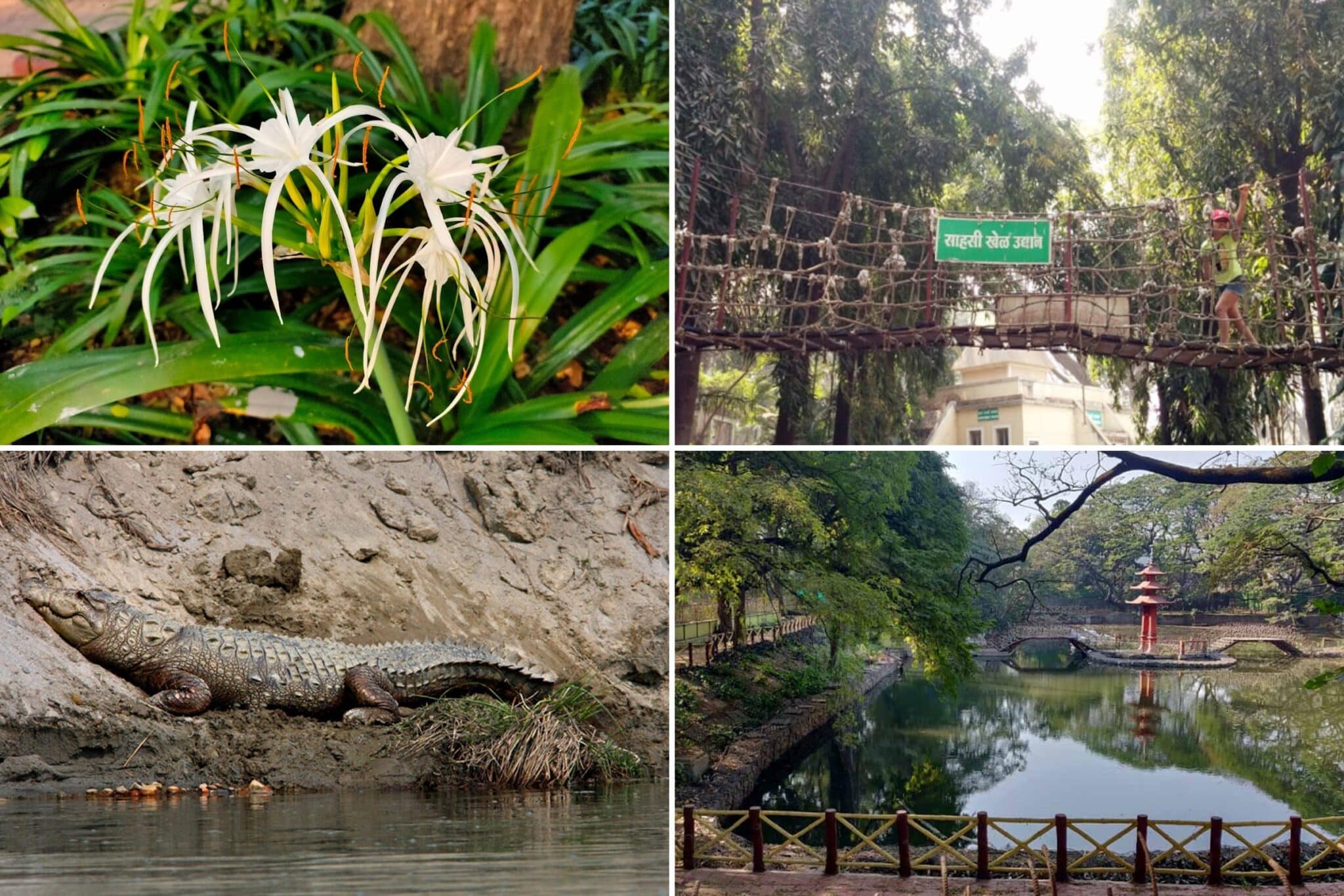 The 10 Best Gardens In Pune | Timing & Entry-fee - RVCJ Media