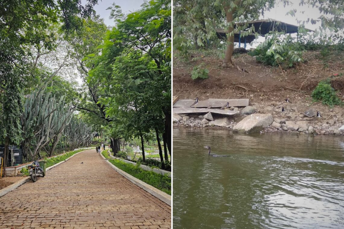 The 8 Best Parks in Mumbai | For Family Outings, Exploring Nature And ...
