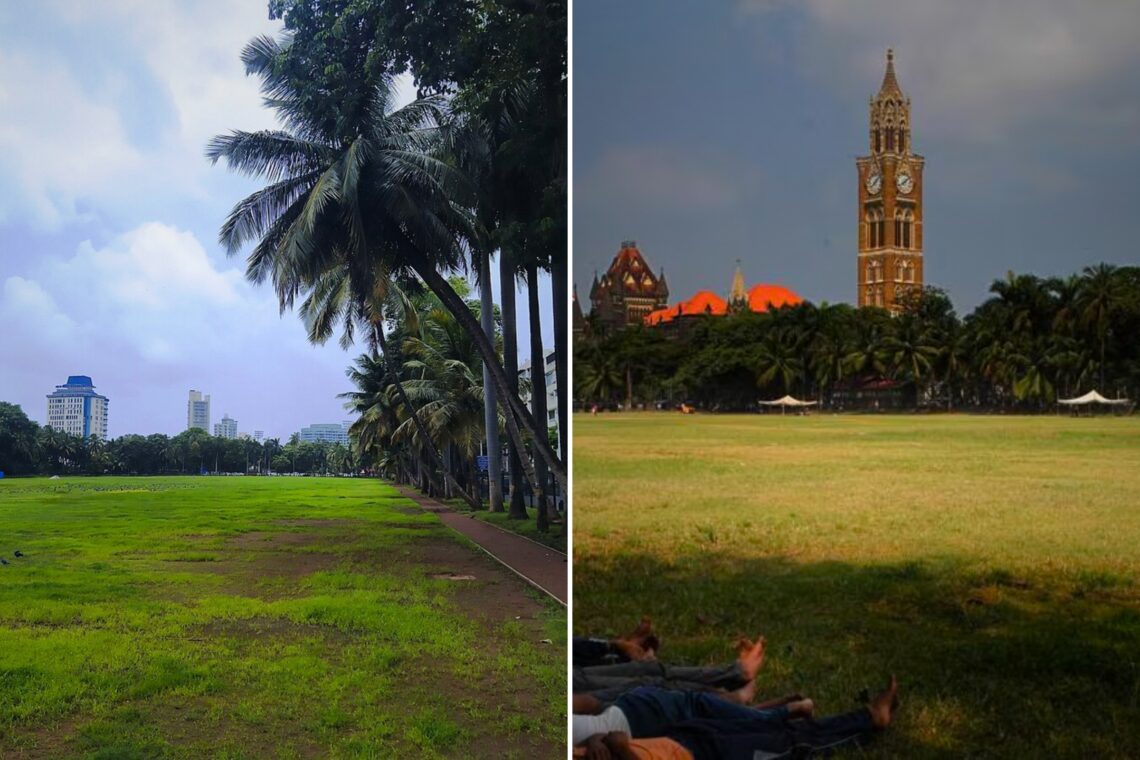 The 8 Best Parks in Mumbai | For Family Outings, Exploring Nature And ...