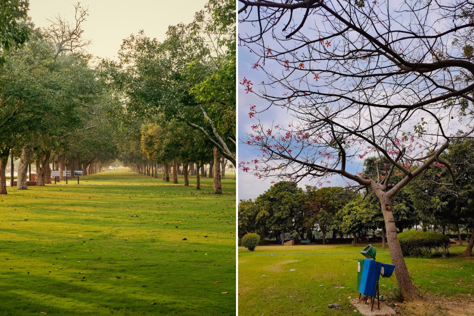 The 8 Best Parks in Delhi | Lodhi Garden, Sunder Nursery And More ...