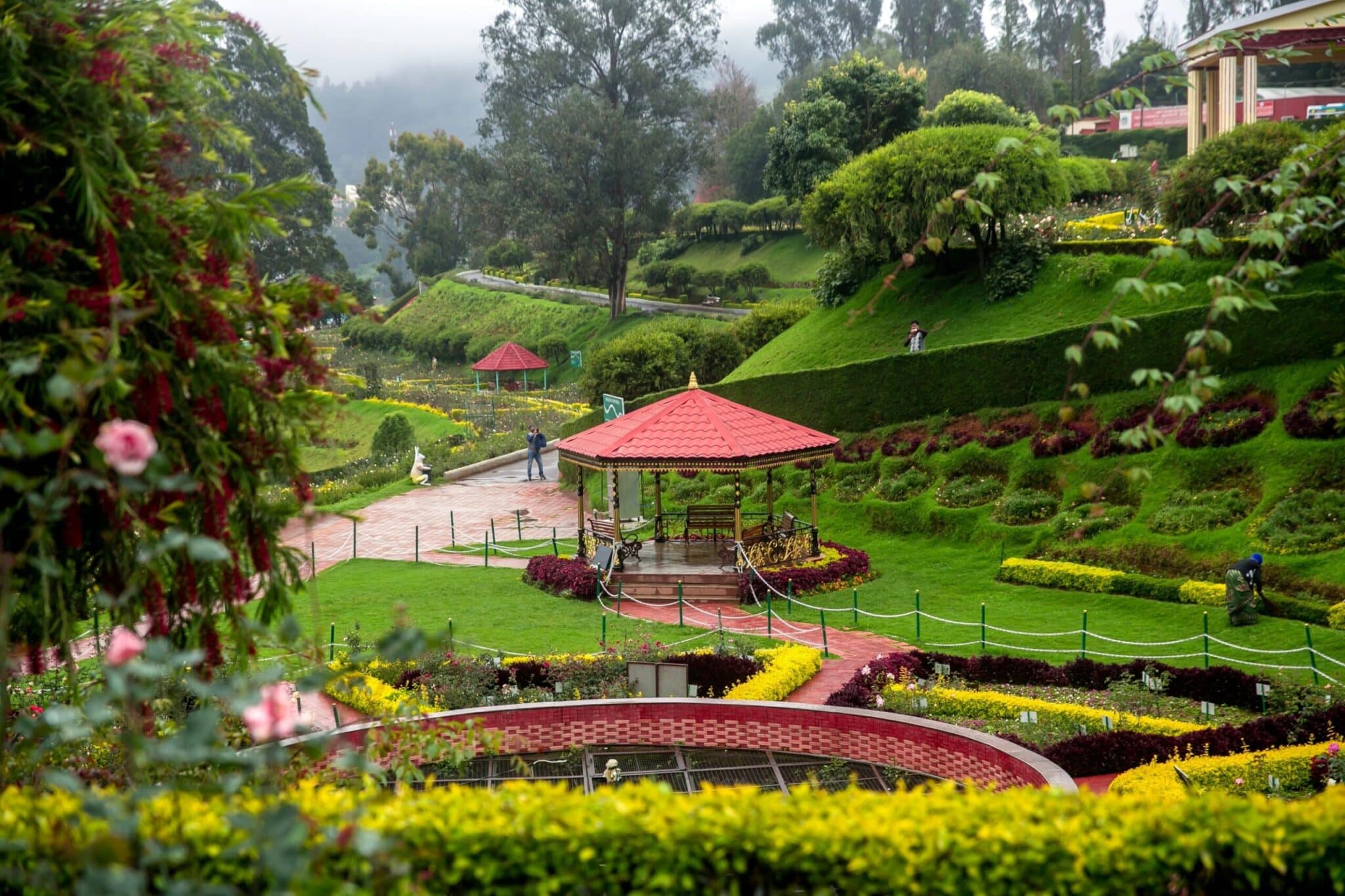 From Ooty To Coorg, Best Hill Stations In South India To Visit In ...